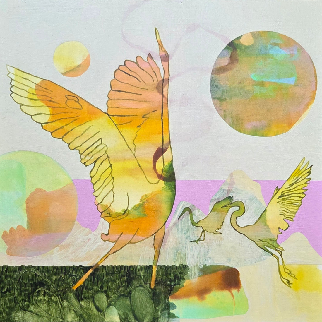 SOAR – ledagallery